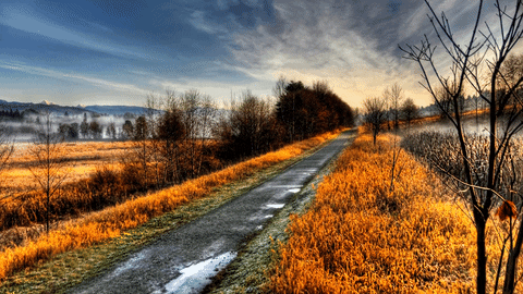 Path GIF - Find & Share on GIPHY