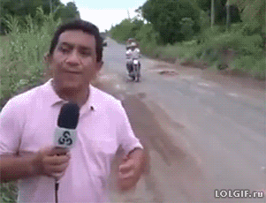 Reporter GIF - Find & Share on GIPHY