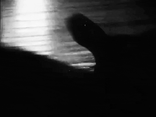 Spasming The Texas Chain Saw Massacre GIF by hoppip - Find & Share on GIPHY
