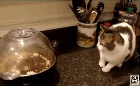 Just shoot the doomfist 4head - General Discussion - Overwatch Forums