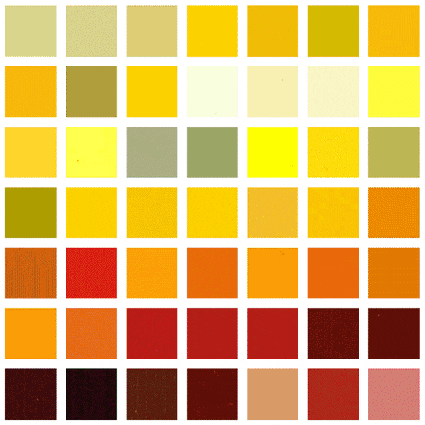 Colors GIF - Find & Share on GIPHY