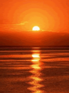 Orange GIF - Find & Share on GIPHY