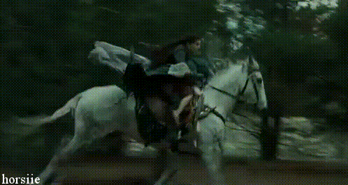 Lord Of The Rings Horse GIF - Find & Share on GIPHY