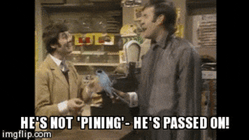 Monty Python Ex Parrot GIF - Find & Share on GIPHY