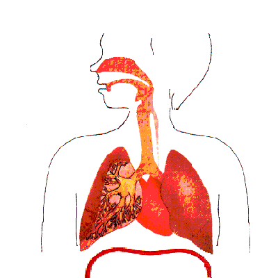 Oxygen GIF - Find & Share on GIPHY