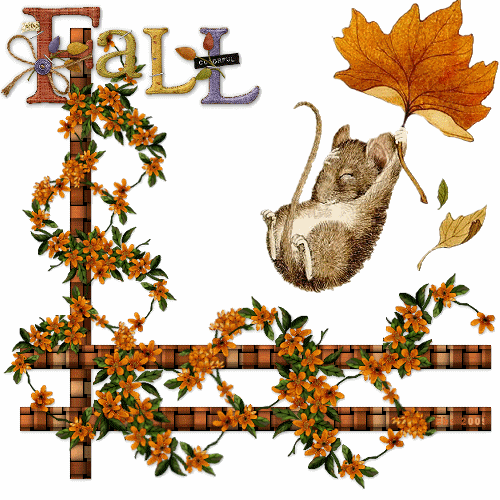 Fall GIF - Find & Share on GIPHY