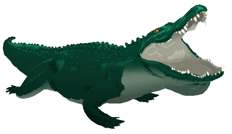 Fun - Lol @ Animated Gifs here | Page 788 | Jedi Council Forums