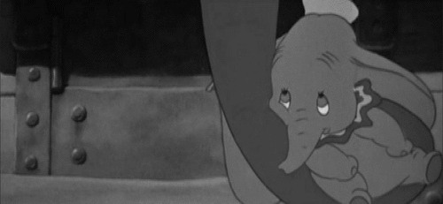 Dumbo Find And Share On Giphy