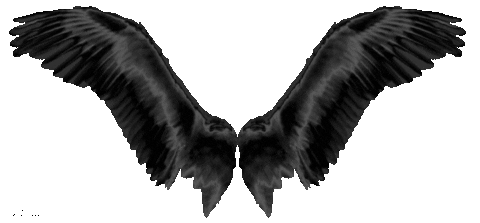 Wings Sticker for iOS & Android | GIPHY