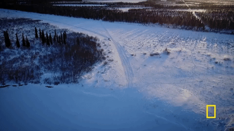 National Geographic Channel GIF - Find & Share on GIPHY