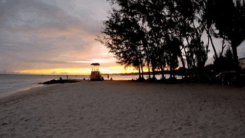 Beach Waves GIF - Find & Share on GIPHY