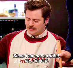 Parks And Recreation Television GIF - Find & Share on GIPHY
