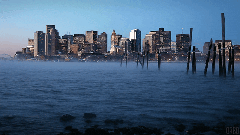 Boston Harbour GIF - Find & Share on GIPHY