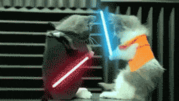 Jedi Kittens GIFs - Find & Share on GIPHY