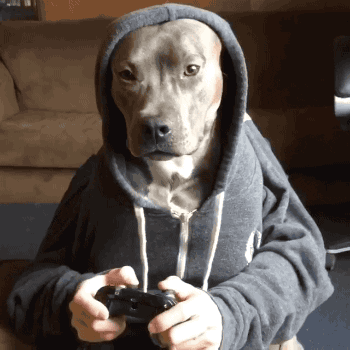 CC: Weimy Froob - MN Rube Chat