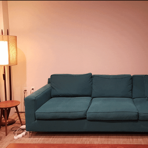 Couch GIFs on Giphy