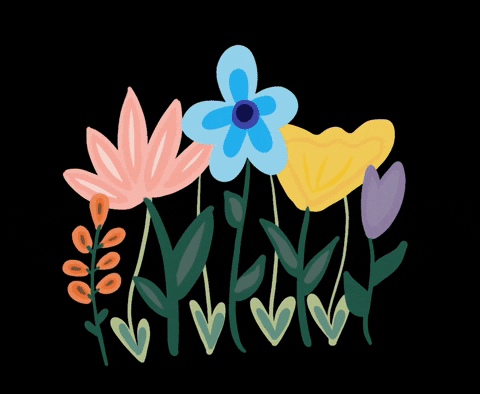Flowers Grow GIF - Find & Share on GIPHY