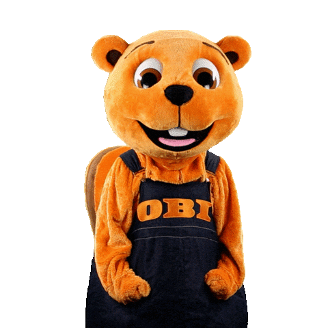 Lets Go Diy Sticker by OBI Baumarkt for iOS & Android | GIPHY