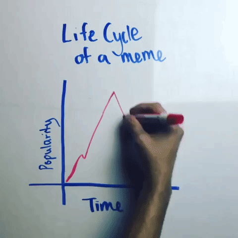 Meme Me Life Cycle GIF by TRULY SOCIAL - Find & Share on GIPHY