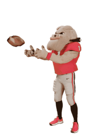 Georgia Bulldogs Go Dawgs Sticker by University of Georgia for iOS & Android | GIPHY