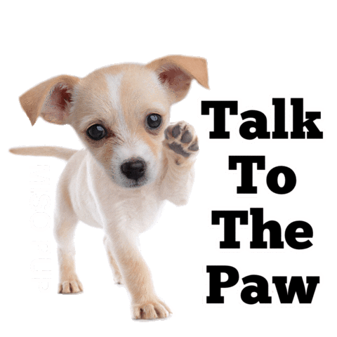 Dog Talk Sticker by MISO PUP for iOS & Android | GIPHY