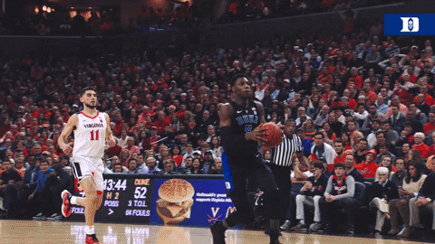 College Basketball Acc GIF by Duke Men's Basketball - Find & Share on GIPHY