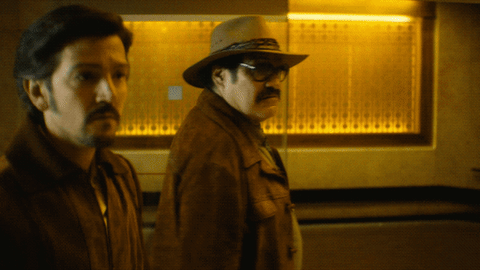 Narcos GIF by netflixlat - Find & Share on GIPHY