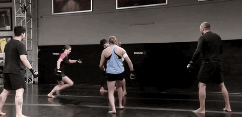 Ultimate Fighter Fighting GIF by UFC - Find & Share on GIPHY