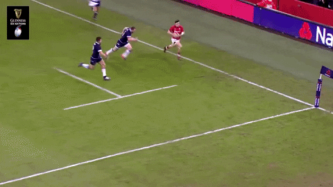 6 Nations Rugby GIF by Guinness Six Nations - Find & Share on GIPHY