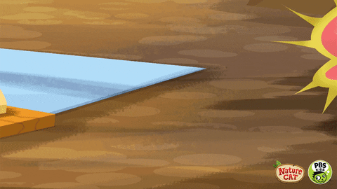 Dance Party Dancing GIF by PBS KIDS - Find & Share on GIPHY