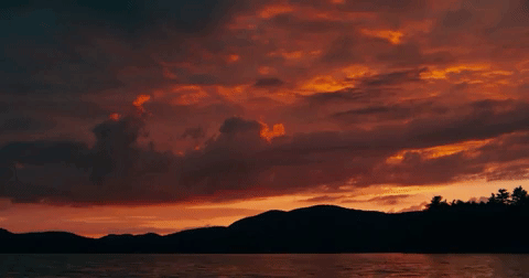 The Song Of Swan Lake GIF by The Orchard Films - Find & Share on GIPHY