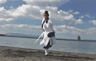 Kung Fu GIF - Find & Share on GIPHY