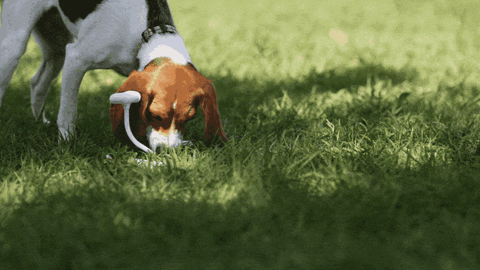 FLEX CAM OPPY : re-imagine the action cam | Indiegogo