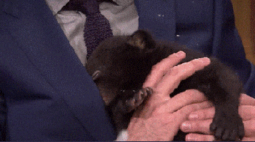 Thanks Jimmy GIFs - Get the best GIF on GIPHY