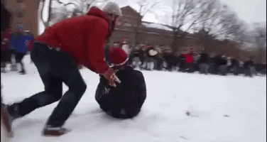 Snow Fail GIF by uwmadison - Find & Share on GIPHY