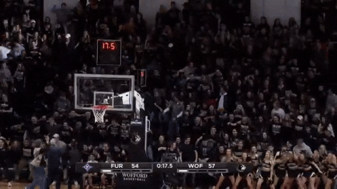 Basketball College GIF by Wofford Athletics - Find & Share on GIPHY