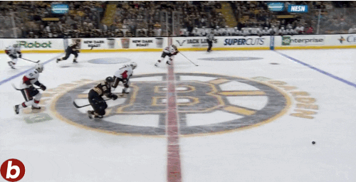 Boston Bruins GIF - Find & Share on GIPHY