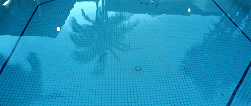 10 Swimming Pool GIFs to Look at While You're At Work | GIPHY