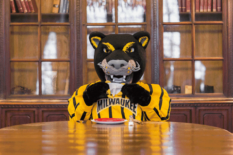 Pounce Black Panther GIF by UW-Milwaukee - Find & Share on GIPHY