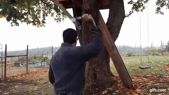 Tree Strikes GIF - Find & Share on GIPHY