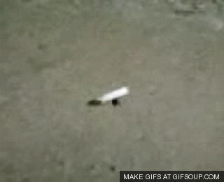 Bug GIF - Find & Share on GIPHY