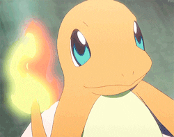 Charmander GIF - Find & Share on GIPHY