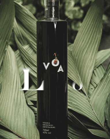 GIF by VOA Vodka - Find & Share on GIPHY