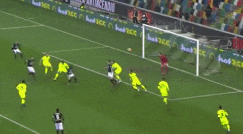 Danilo Bologna GIF by Udinese Calcio - Find & Share on GIPHY