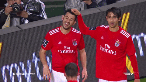 High Five Sl Benfica GIF by Sport Lisboa e Benfica - Find & Share on GIPHY