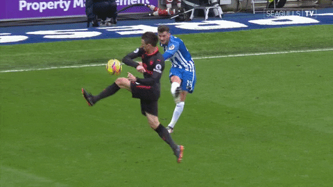 Bhafc GIF by Brighton & Hove Albion Football Club - Find & Share on GIPHY