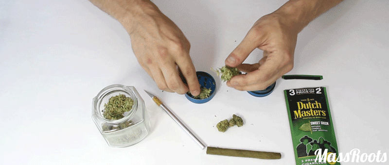 Blunt Find And Share On Giphy