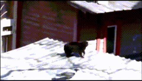 Instigates GIFs - Find & Share on GIPHY