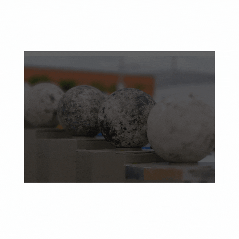 Elite Personal Training GIF - Find & Share on GIPHY