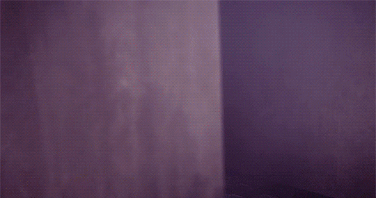 Alex Find And Share On Giphy